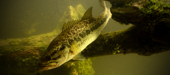 Carthage Farm Supply